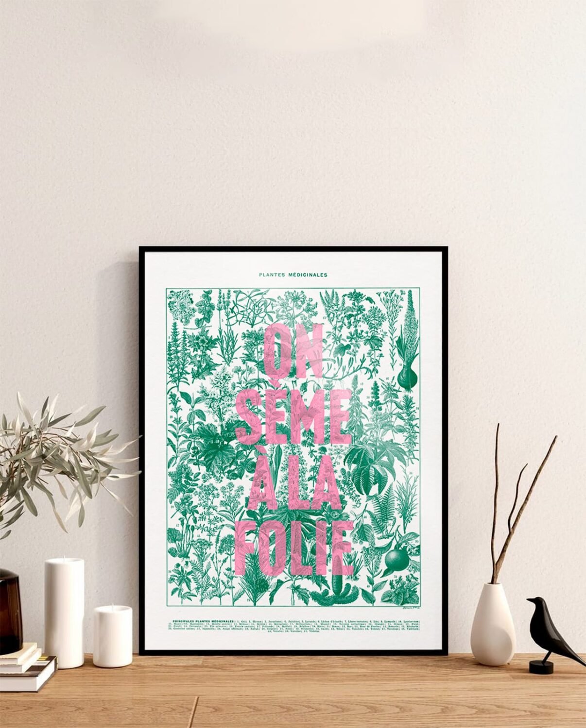 On sème à la folie | Affiche • Affiche Botanique Vintage • Studio Topo
