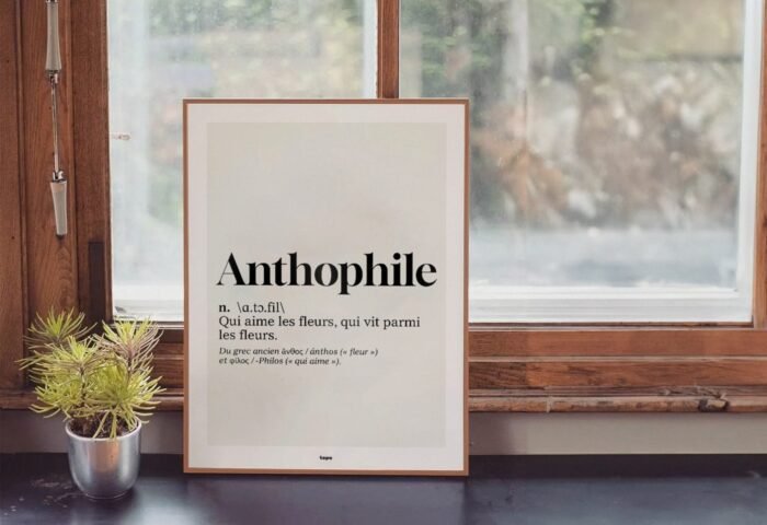 Définition d'Anthophile • Studio Topo